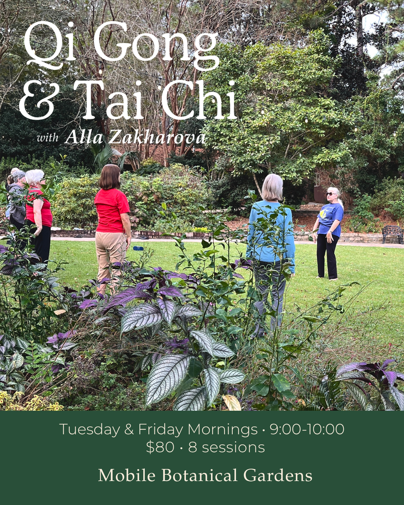 Intro to Qi Gong and Tai Chi – MBG ReBloom Mobile